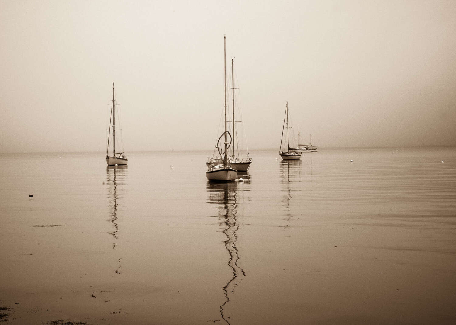 Jason Cole Photography - The Pinehills