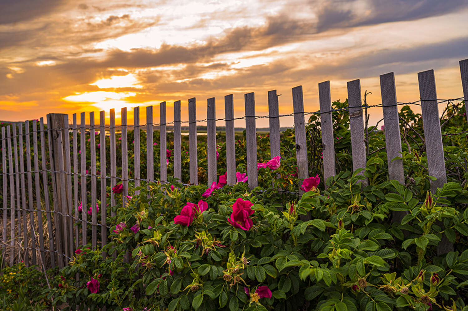 Jason Cole Photography - The Pinehills