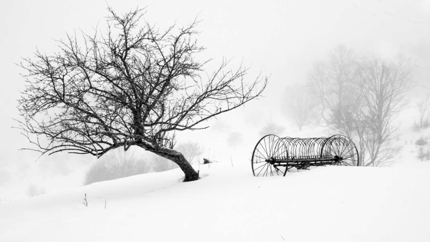 Look at the View - Photography by Dan Gyves - The Pinehills